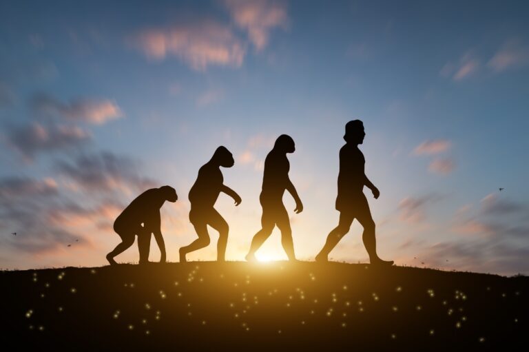Evolution's So-so Flatline 2025 Amid Ongoing iGaming Pressure | iGaming ...